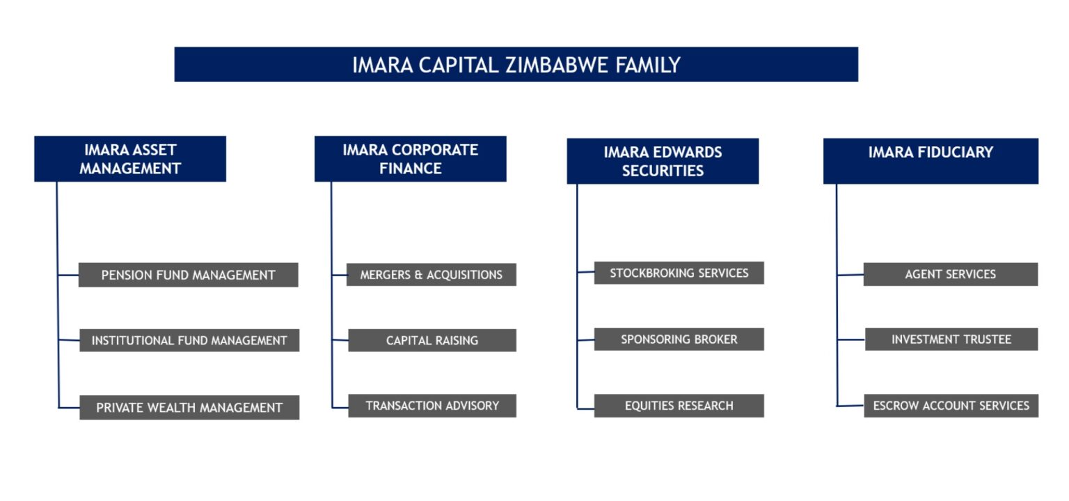 Imara Group - What We Do - Imara Group